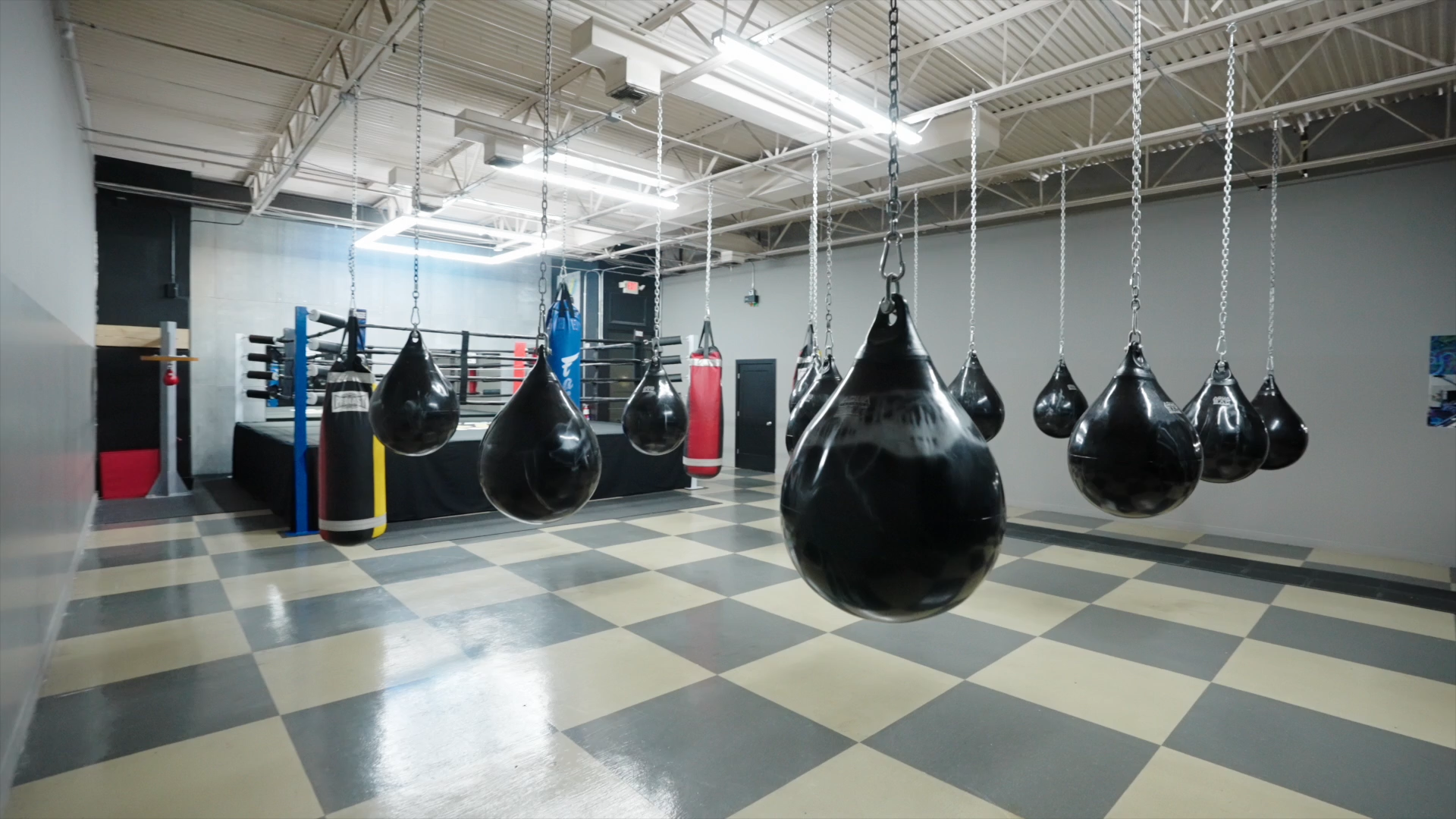 Best Fitness and Boxing Gym in Tampa